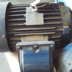 10 HP 1800 RPM Teco, Frame 215TC, vertical explosion proof, 230/460 ...