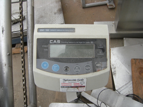 CAS #BW-150, Platform Bench Scale, 15" x 20" Pan for Sale | Surplus Record