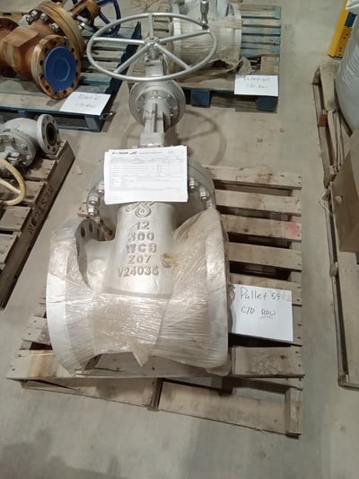 12" DSI, Gate Valve, 300# class For Sale | Surplus Record