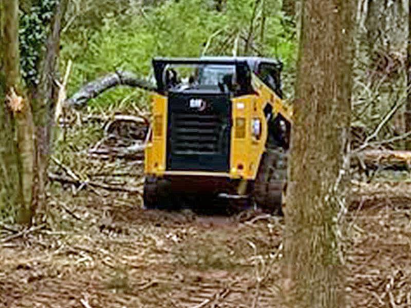 Caterpillar #289D3, Compact Loader w/Forestry Mulcher/Buckets/Trailer ...