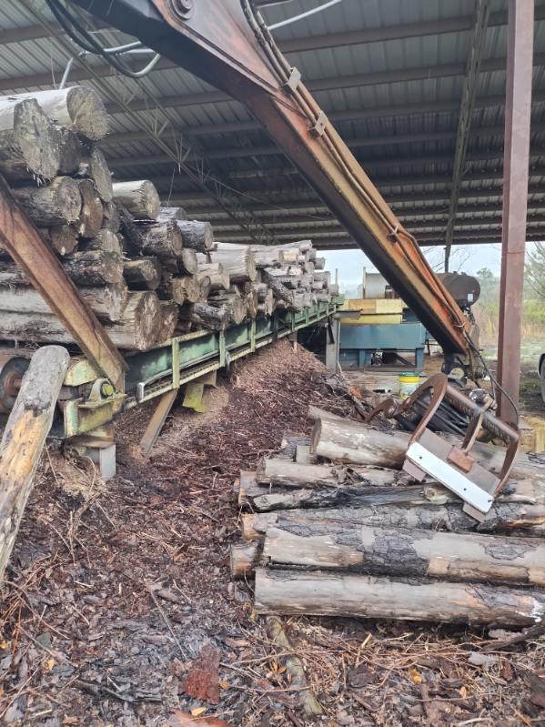Jackson Shaving Mill, Knife Grinder, 22' log deck, conveyor, 6' box ...